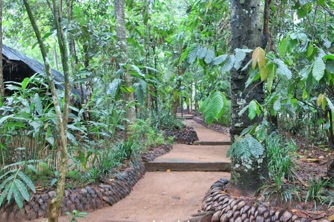 Shore Excursions Colombo Port Passenger Terminal to Kandy By Car. - Who Should Consider This Tour?