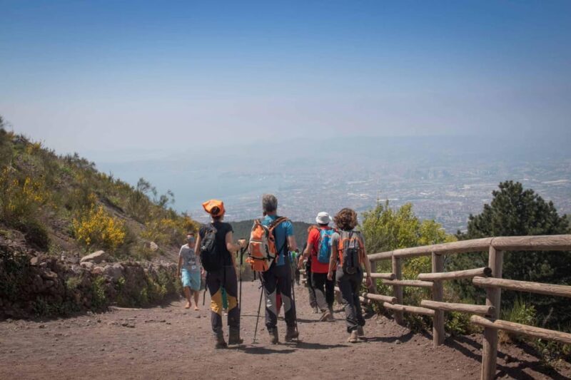 Shore Excursions: Pompeii & Vesuvius shared guided tour - Who Should Consider This Tour?