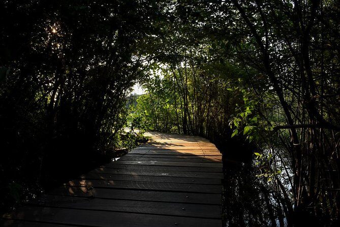 Shore Excursions Port Passenger Terminal to Colombo Wetland Tour. - Who Will Get the Most Out of This Tour?