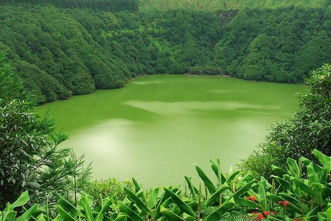 Shore Excursions to the volcano and crater of Lagoa das Sete Cidades - The Sum Up: A Well-Rounded Experience of Lagoa das Sete Cidades