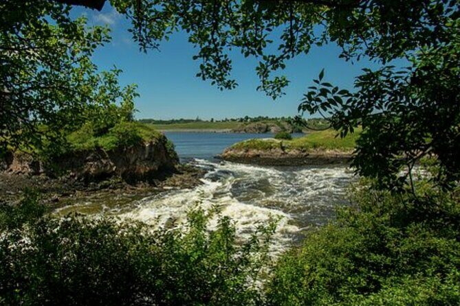 Shore Excursion:Saint John History Walking Tour - The Sum Up