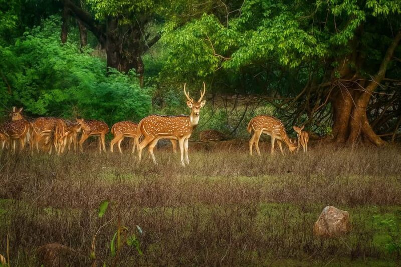 Shore Mumbai : 1 or 2 Days Customizable Private Experience - Practical Details and Value Analysis