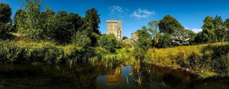Shore Tour from Cork: Blarney, Kinsale & Cork - Who Is This Tour Best For?
