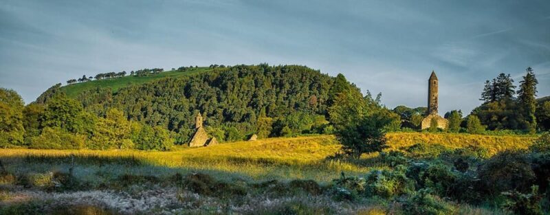 Shore Tour from Dublin: Wicklow Mountains & Dublin - Why You’ll Love This Tour
