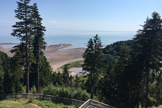 Shore Tours - An In-Depth Look at the Saint John Shore Tour