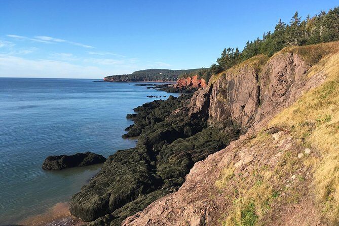 Shore Tours - Who Will Love This Tour?