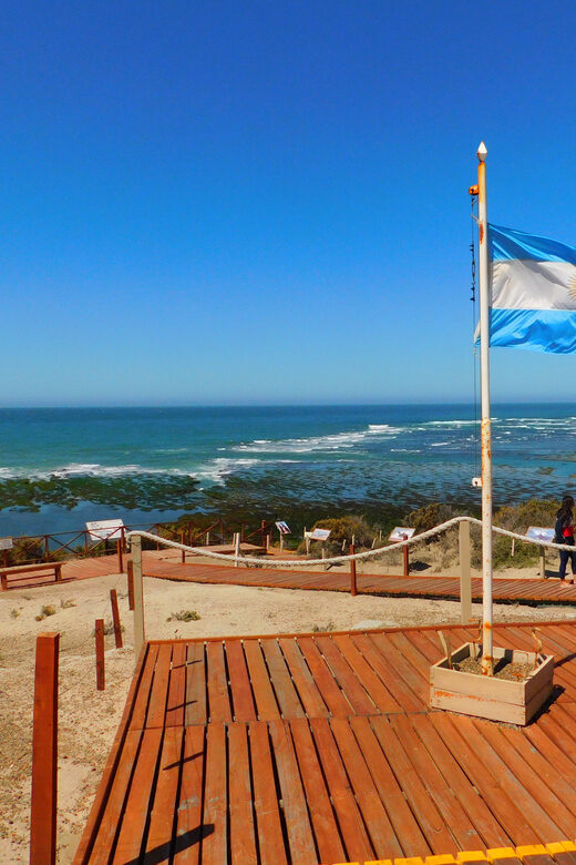 Shore Tours Peninsula Valdes Puerto Madryn Cruise Passengers - The Value of the Experience