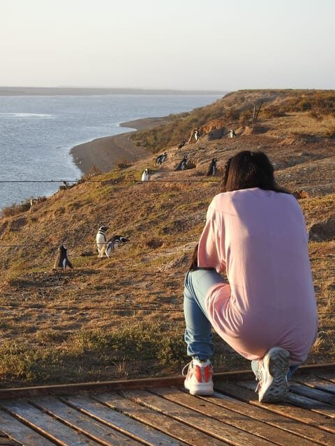 Shore Tours Peninsula Valdes Puerto Madryn Cruise Passengers - Who Will Enjoy This Tour?