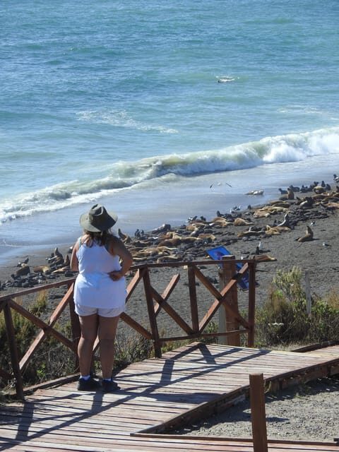 Shore Tours Peninsula Valdes Puerto Madryn Cruise Passengers - Final Thoughts