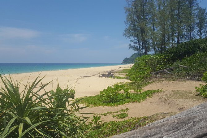 Shoreline Cruise and Secluded Beach - What to Expect from the Shoreline Cruise and Secluded Beach Experience