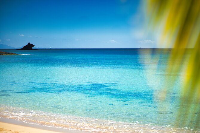 Shoreline Crystal Clear Kayak Drone Photoshoot - The Cost and Its Value