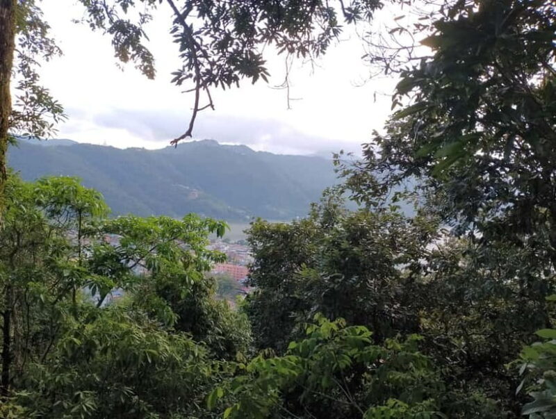 Short and Sweet: 3-Hour Hike with Views from Pokhara - Who Should Consider This Tour?