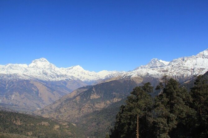 Short Annapurna Base Camp Trek - 7 Days - Why Choose This Trek?