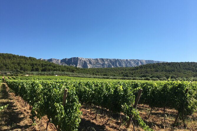 Short Day Tour around Aix en Provence and Wine Tasting - What You Can Expect from the Tour