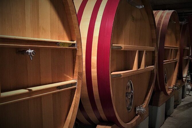 Short Day Tour around Aix en Provence and Wine Tasting - The Sum Up