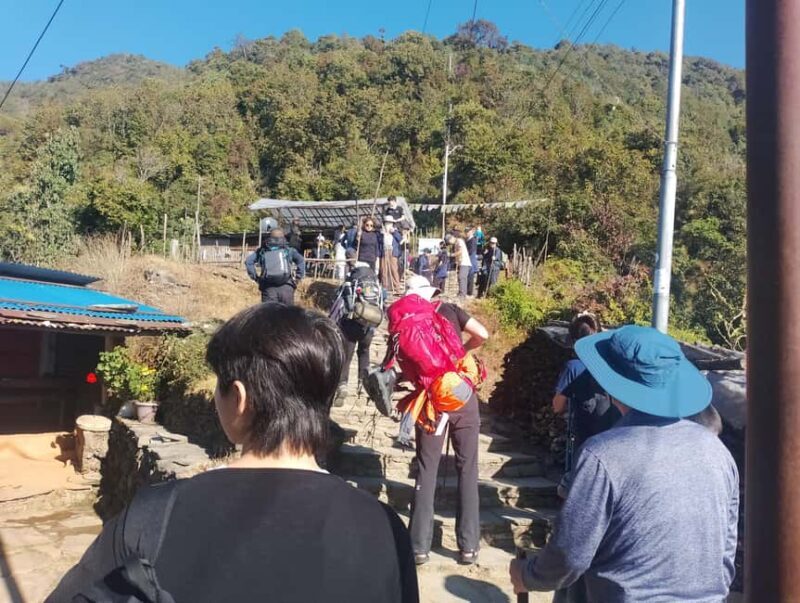 Short Day Trek: Pothana & Australian Camp from Pokhara - Practical Tips for the Trek