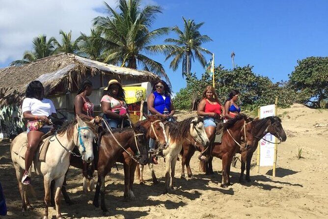 Short Excursion horseback riding tours on the beach and mountain - Analyzing the Value