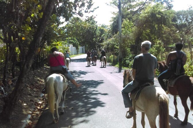 Short Excursion horseback riding tours on the beach and mountain - Who Will Love This Tour?