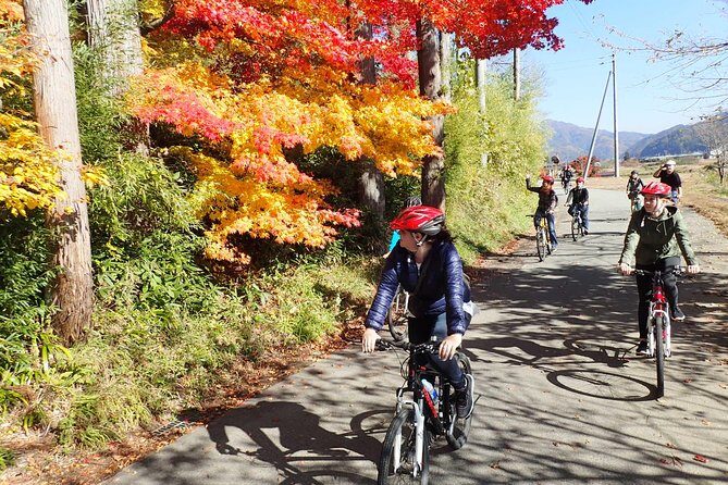 Short Morning Cycling Tour in Hida - An In-depth Look at the Experience