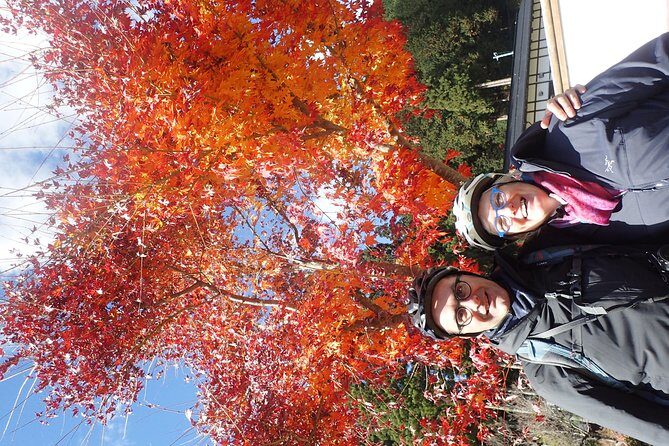 Short Morning Cycling Tour in Hida - Summary: Who This Tour Is Perfect For