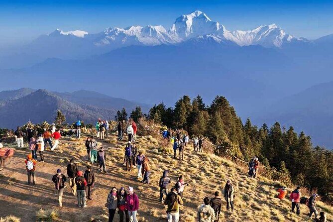 Short on Time? The Ultimate 6-Day Annapurna Base Camp Trek - The Trek Experience