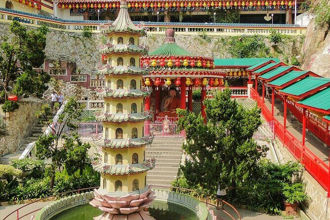 Show Wonderful of Butterflies & Botanics in Private Tour - Penang - A Detailed Look at the Experience