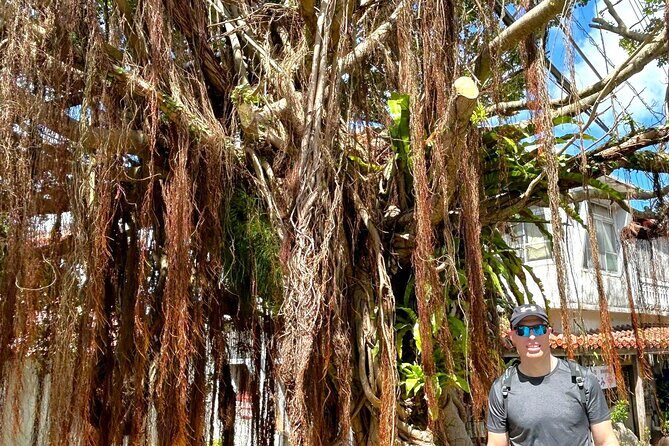 Shurijo Castle & Royal Mausoleum Tour  Ryukyu Kingdom Heritage - Final Thoughts