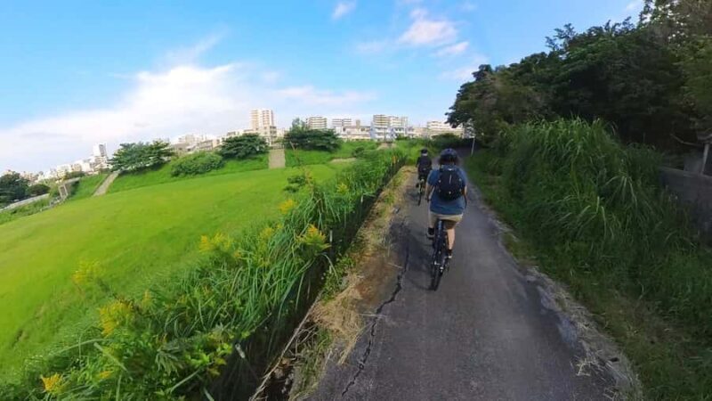 Shuri+Naha: Cycling Tour Explore Water Heritage with E-Bike - Iconic Gate and Naha City Views