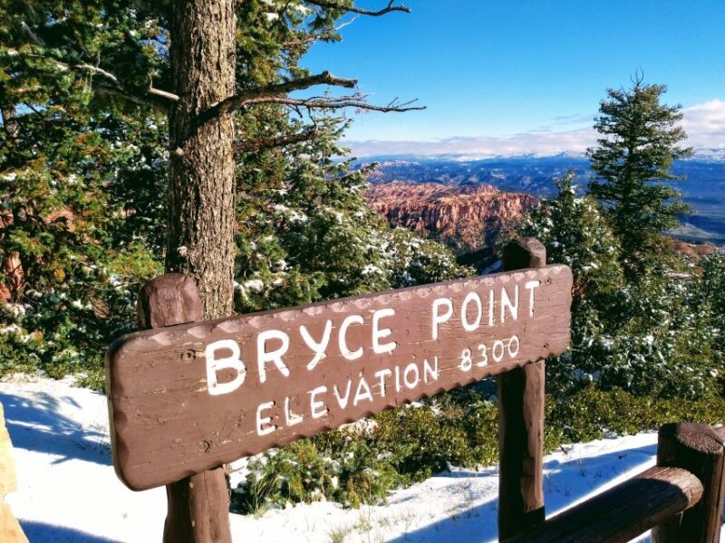 Shuttle between Las Vegas, Bryce, Zion and St George - Punctuality and Customer Feedback