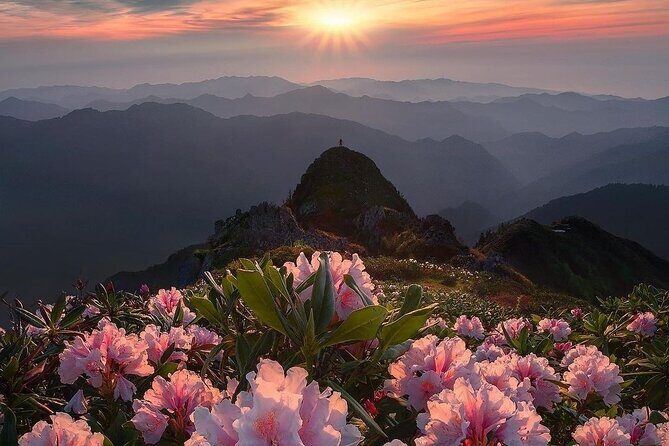 Shuttle bus to Golden Bridge - Ba na hill from Da Nang - Deep Dive: Why the Cost Matters