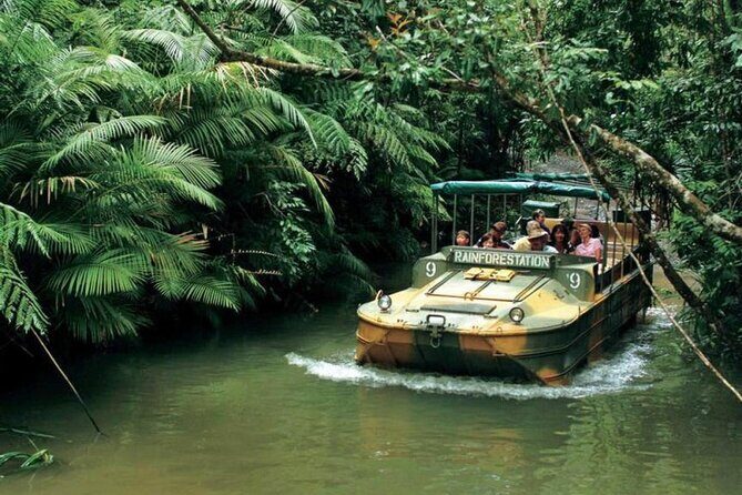 Shuttle Bus Transfer - Kuranda to Cairns City - Authentic Traveler Insights