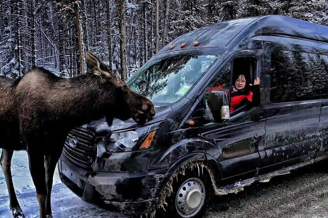 Shuttle from Banff or Canmore to Moraine Lake and Lake Louise - Introduction