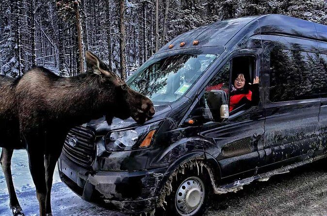 Shuttle from Banff or Canmore to Moraine Lake and Lake Louise - The Sum Up