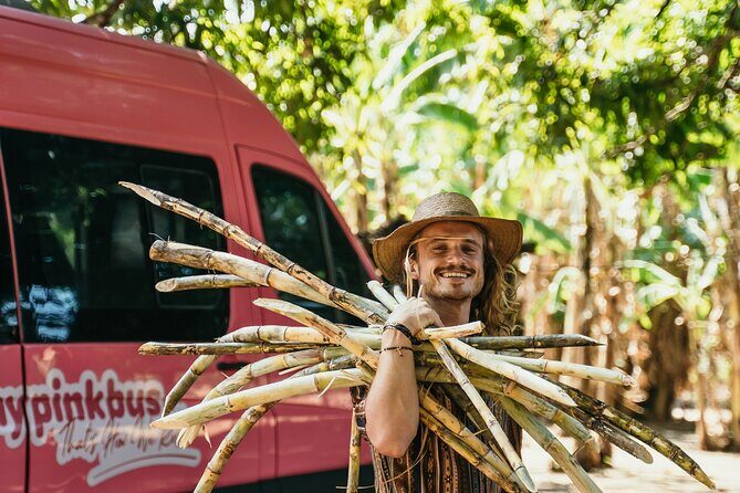 Shuttle from La Fortuna to San Jose - Cost and Value