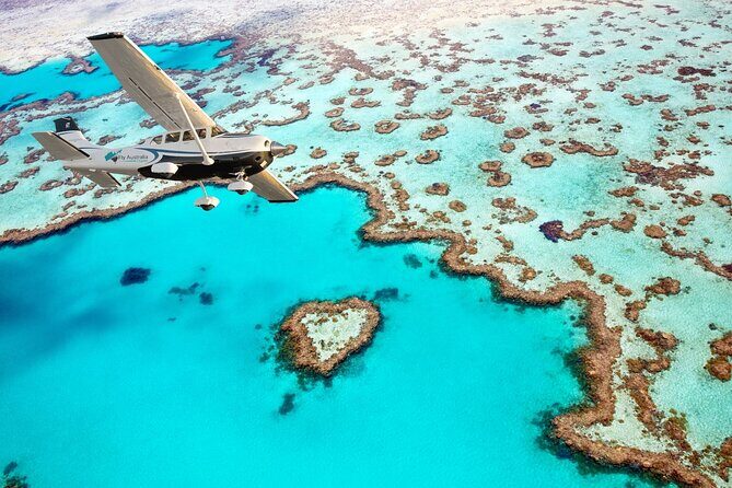Shuttle from Proserpine Airport to Airlie Beach - FAQ