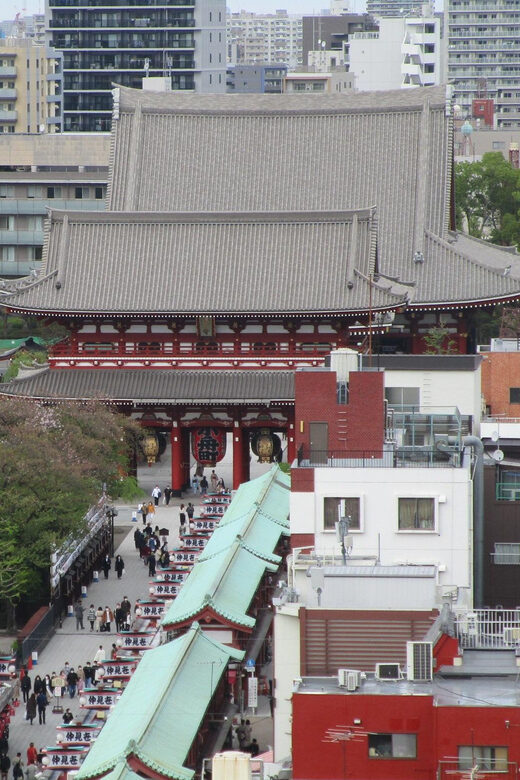 Shuttle Van Tour Tokyo for 4 Hours or 6 Hours+Transfer Time - Key Points