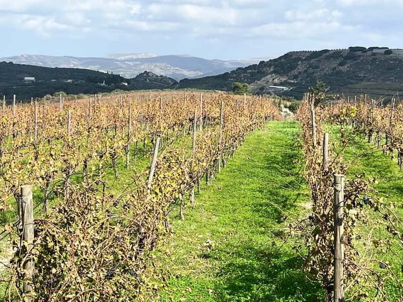 Shuttle & Wine Experience at Lyrarakis Winery - Packing Tips