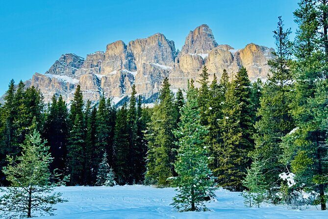 ShuttleBus 2way Banff to Lake Louise (1Hr) and Moraine Lake (1Hr) - Practical Tips for Travelers