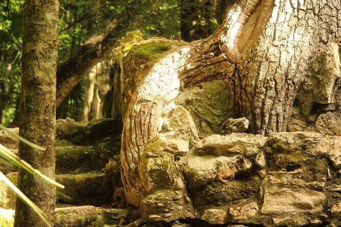 Sian Ka'an Biosphere Ancient Canals Expedition - Who Will Love This Tour?