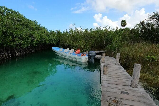 Sian Ka'an Biosphere Reserve Guided Tour - A Deep Dive into the Experience: What To Expect