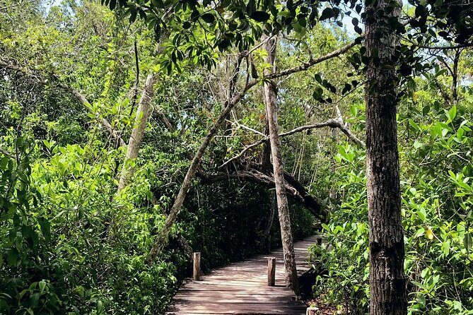 Sian Ka'an Biosphere Reserve Guided Tour - Who Will Love This Tour?