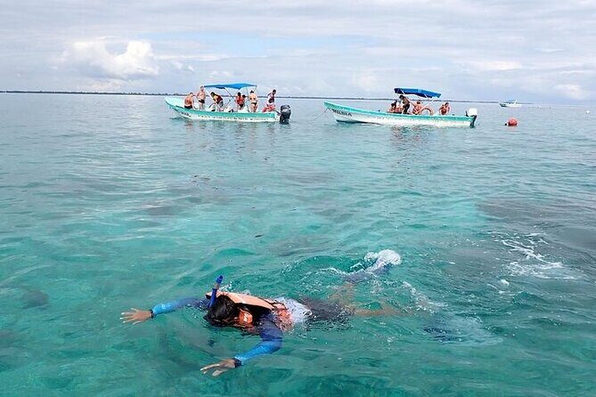 Sian Kaan Biosphere Reserve Tour from Playa del Carmen - Value and Practical Details