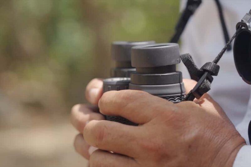 Sian Ka'an: Bird Watching & Mayan Herbal Medicine - The Itinerary in Detail