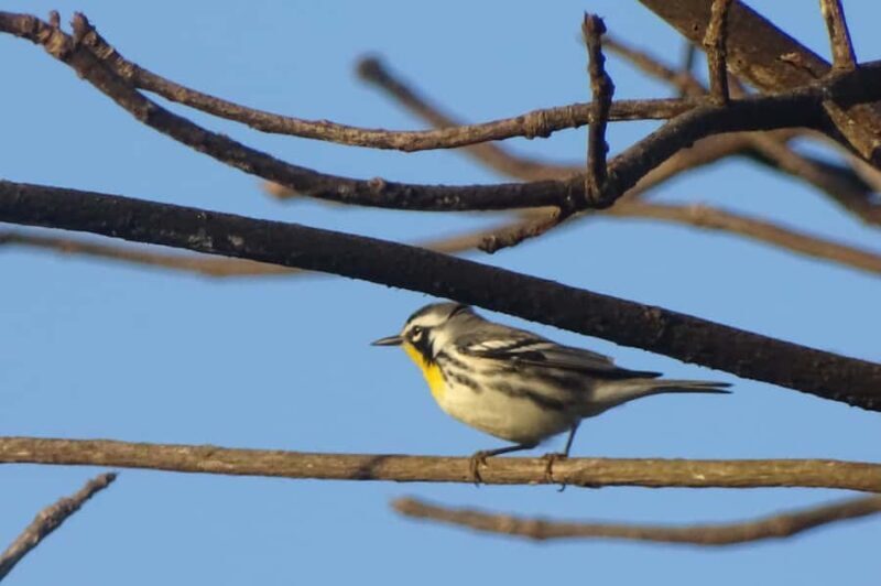 Sian Ka'an: Bird Watching & Mayan Herbal Medicine - Practical Details for Planning