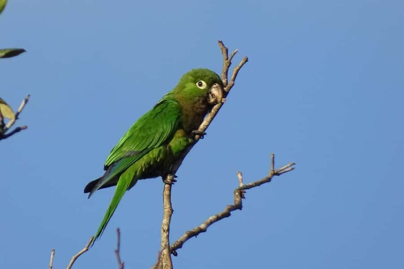 Sian Ka'an: Bird Watching & Mayan Herbal Medicine - Who Is This Tour Best For?