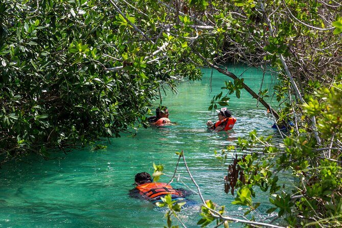 Sian Ka'an Floating Ancient Mayan Canals and Tulum Tacos - Analyzing the Value