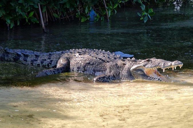 Sian Kaan Reserve Private Bike Tour - Final Thoughts: Who Should Consider This Tour?