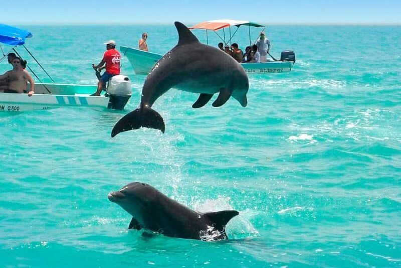 Sian Ka'an Reserve: Safari and Snorkeling Tour. - The Sum Up