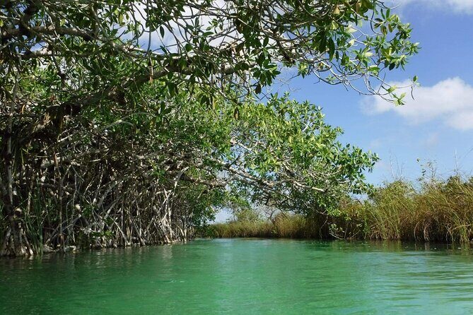 Sian Ka'an Tour (Private, Half Day) - Exploring Sian Kaan Biosphere Reserve