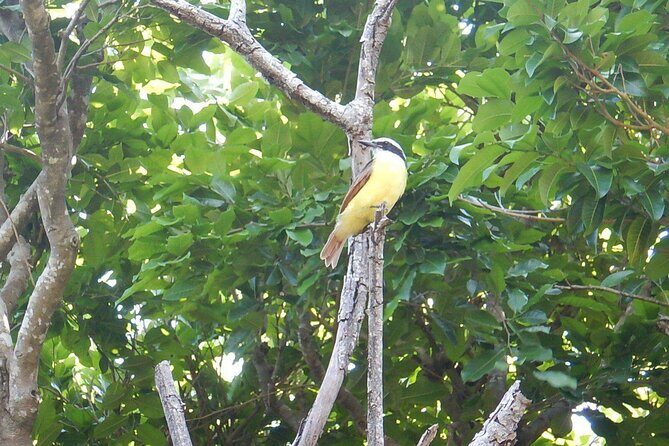 Sian Ka'an Tour (Private, Half Day) - Pricing and Value